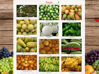 Fruver - Guía Horeca